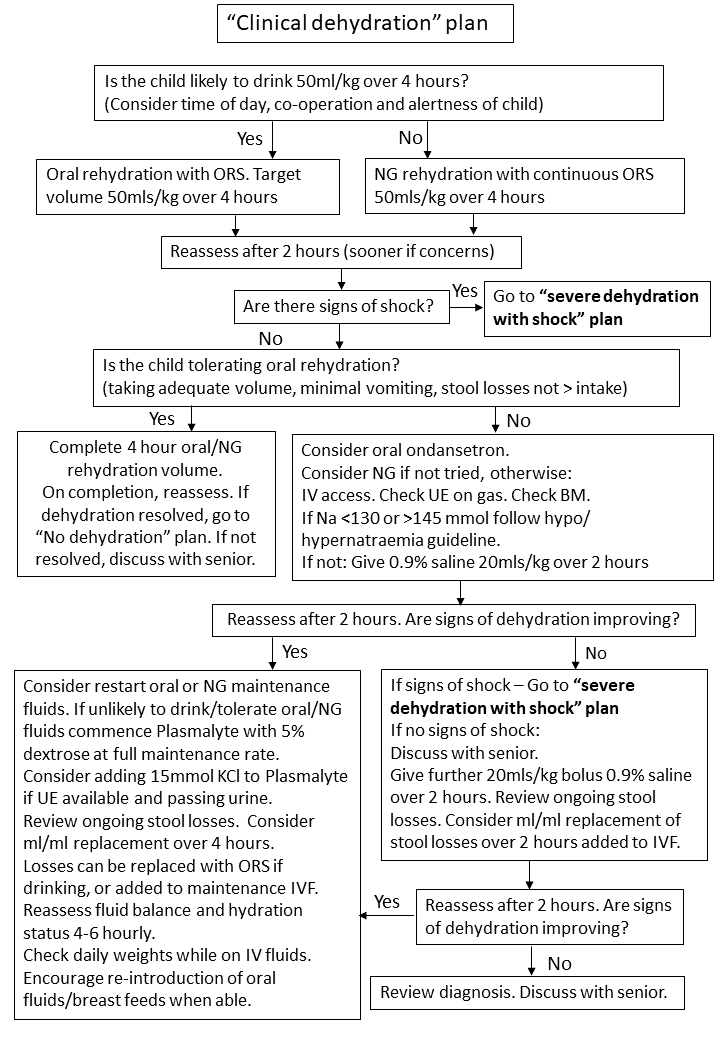 Figure 3:Clinical dehydration without shock plan
