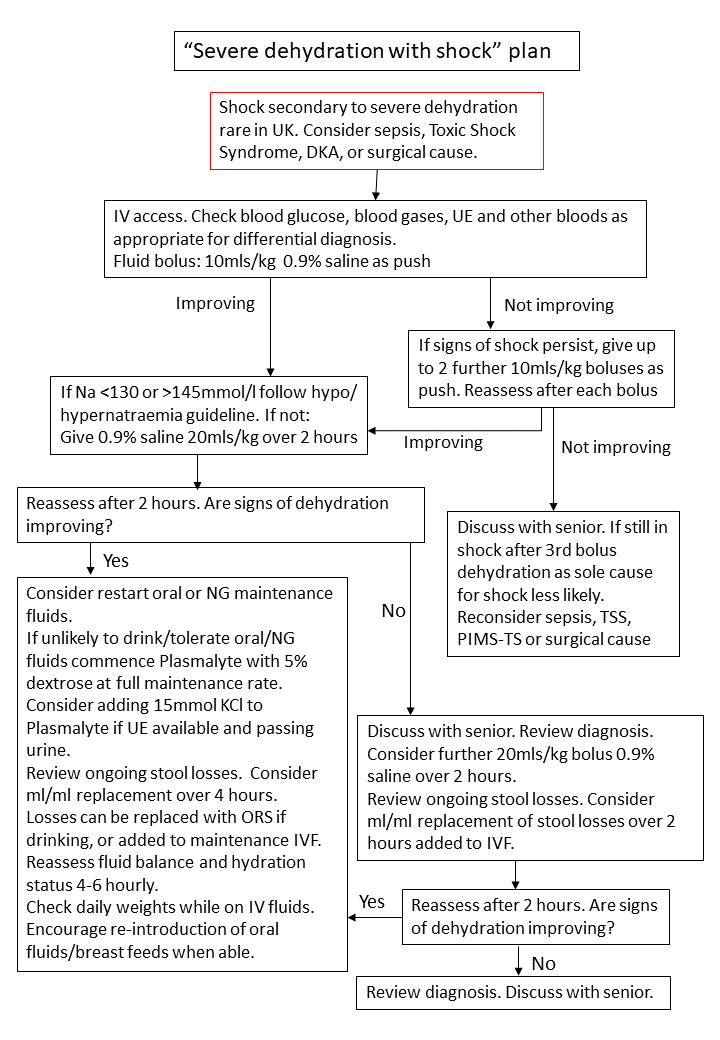 Figure 4: Severe dehydration with shock plan