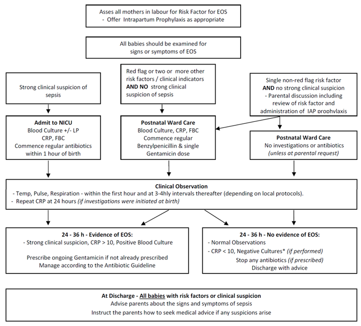 Early onset sepsis in the neonate: prevention and treatment (1060) | NHSGGC